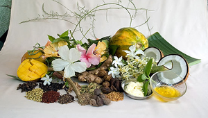 ayurveda india, ayurveda tour india, about india ayurveda